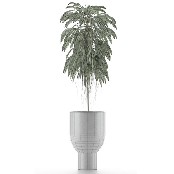 Single plant 11 3D model - TurboSquid 1586390