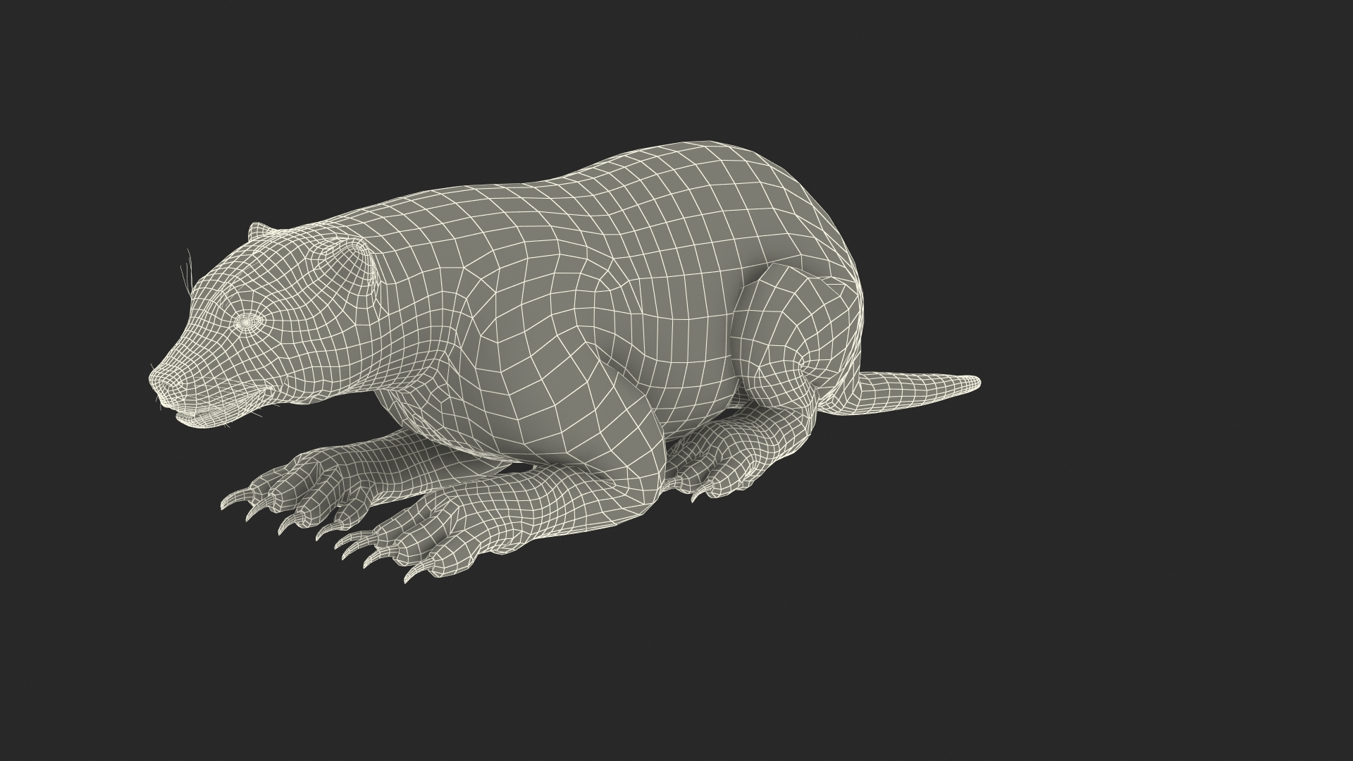 3D Wolverine Light Color Lying Down Pose Fur - TurboSquid 2161776