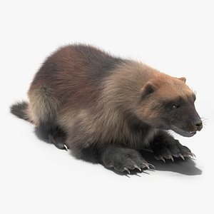 Wolverine 3D Models for Download | TurboSquid