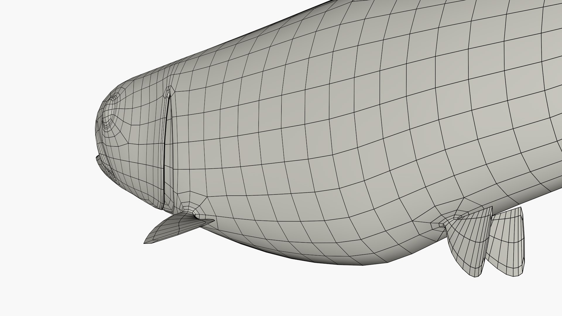 Trout 3D model - TurboSquid 1747648