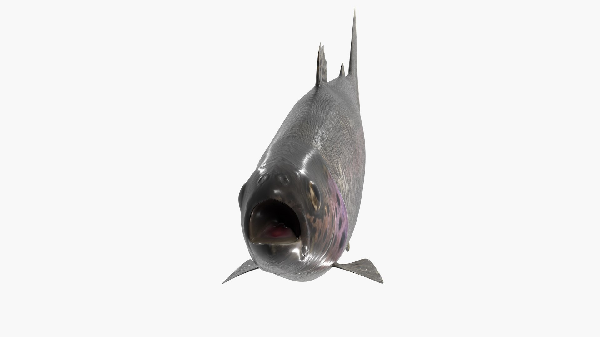 Trout 3D model - TurboSquid 1747648