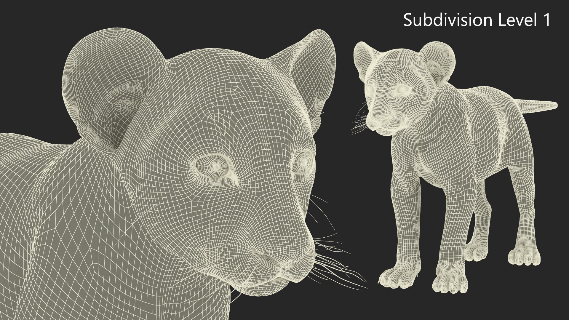 Lion Cub 3D Model - TurboSquid 2335636