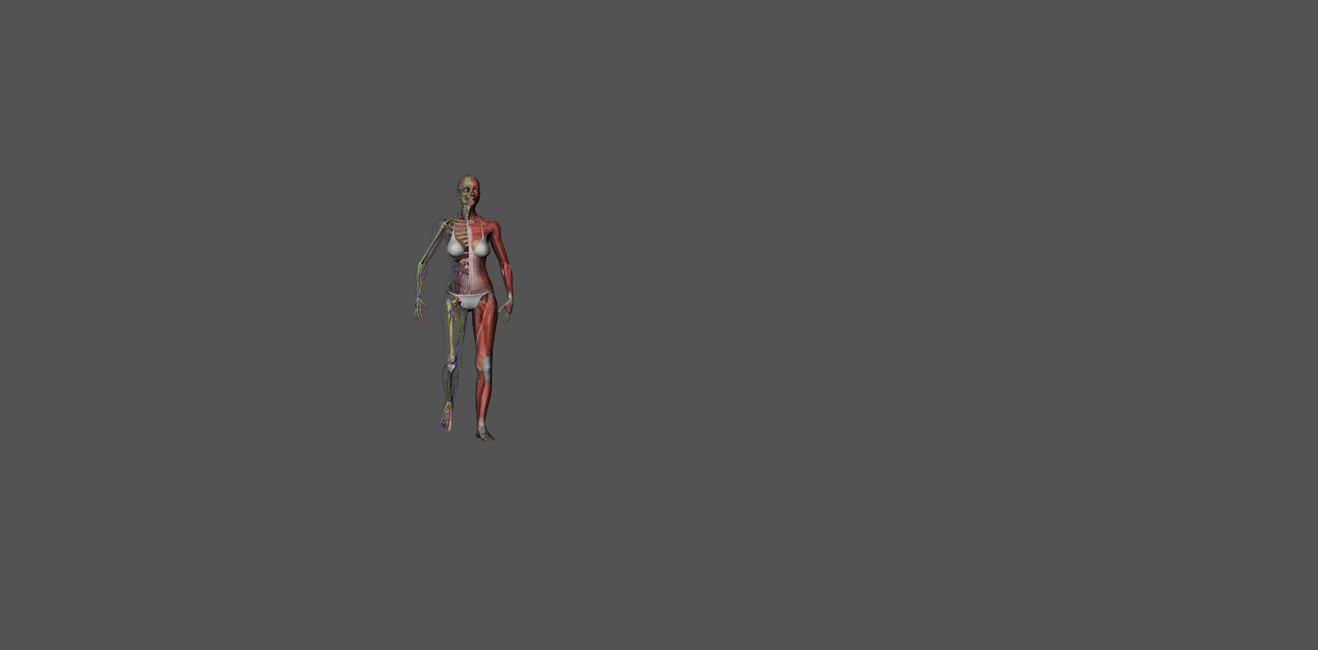 3D Motion Capture Female Anatomy - TurboSquid 1449677