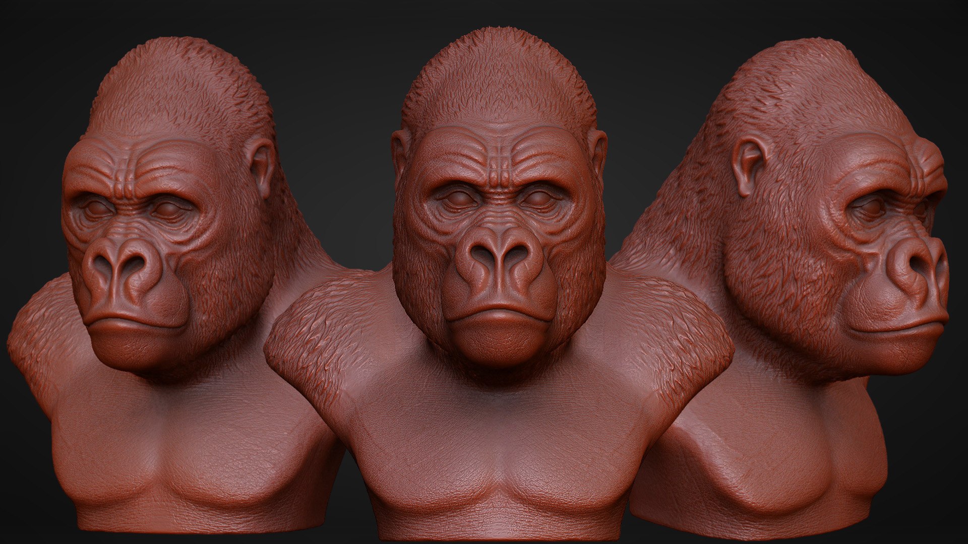 3d Model Gorilla Head Animal