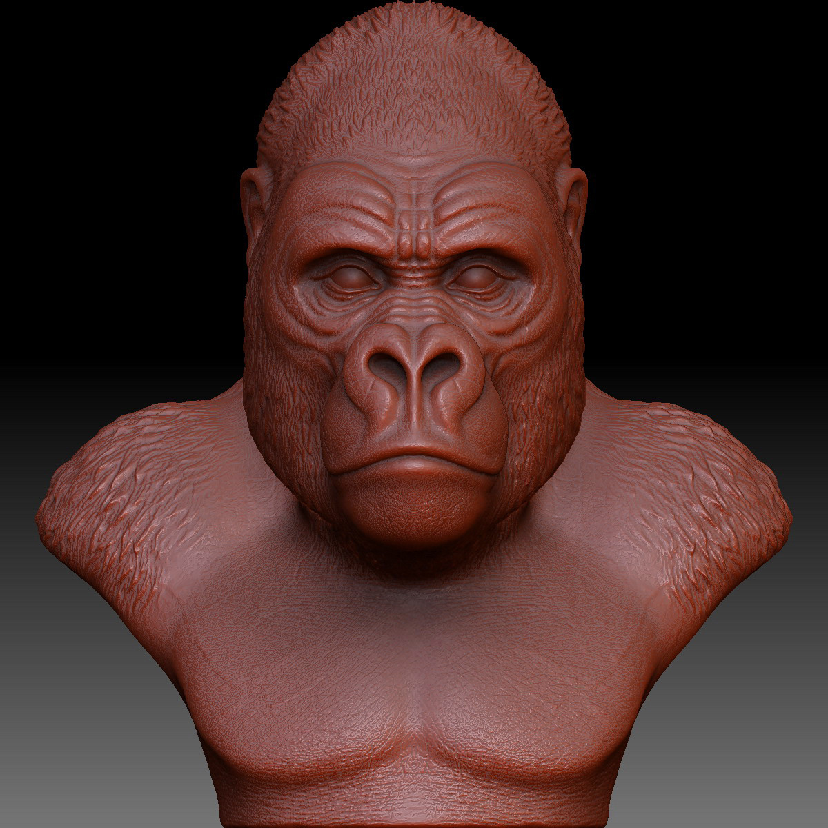3d model gorilla head animal