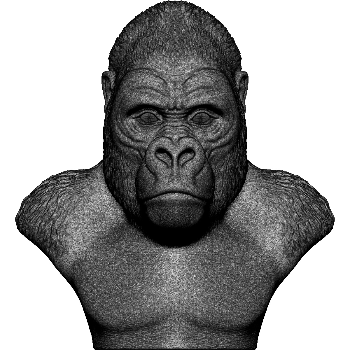 3d model gorilla head animal