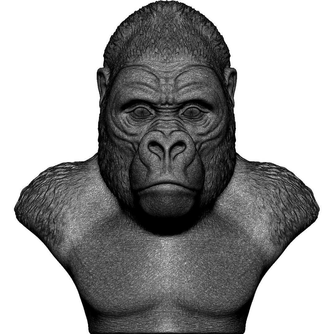 3d model gorilla head animal