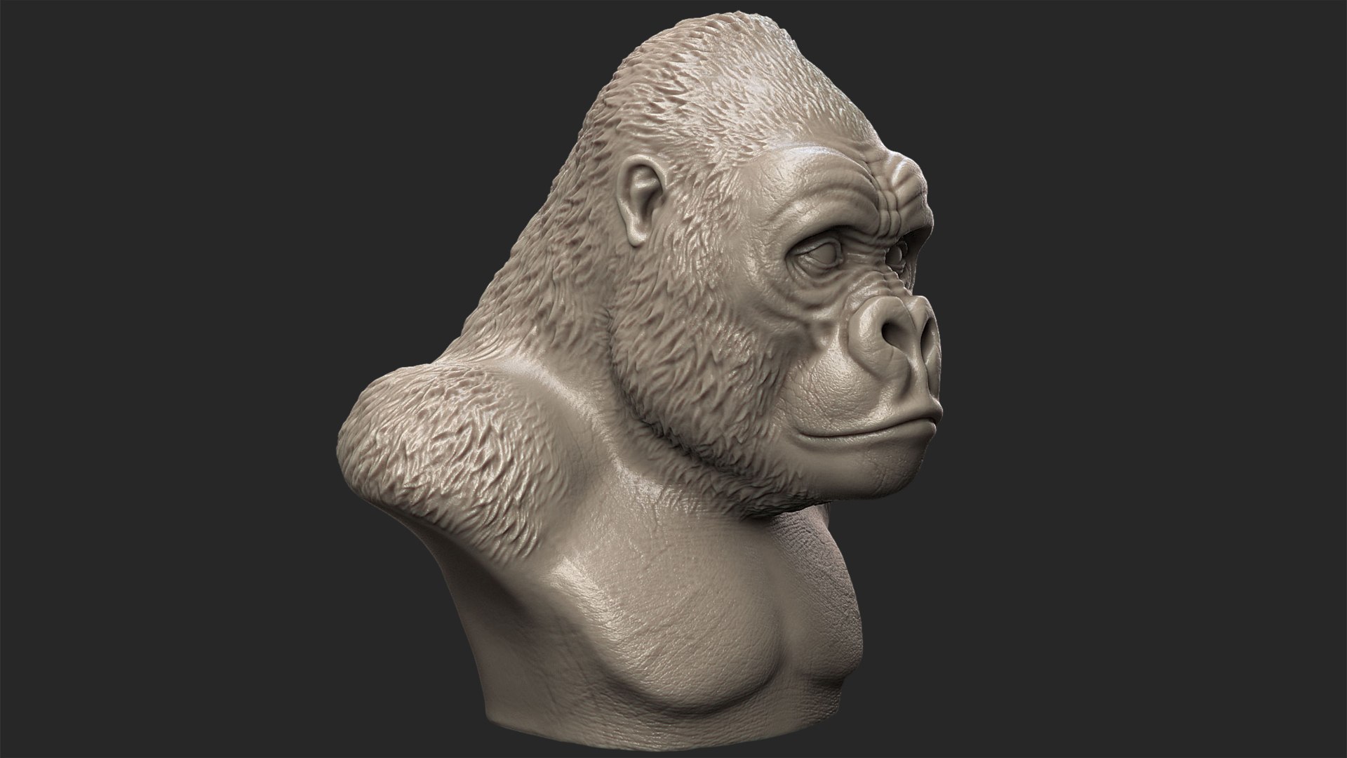 3d Model Gorilla Head Animal
