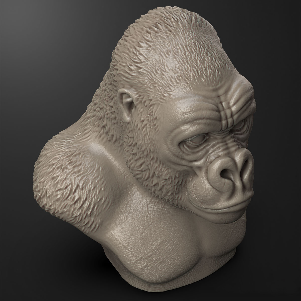 3d model gorilla head animal