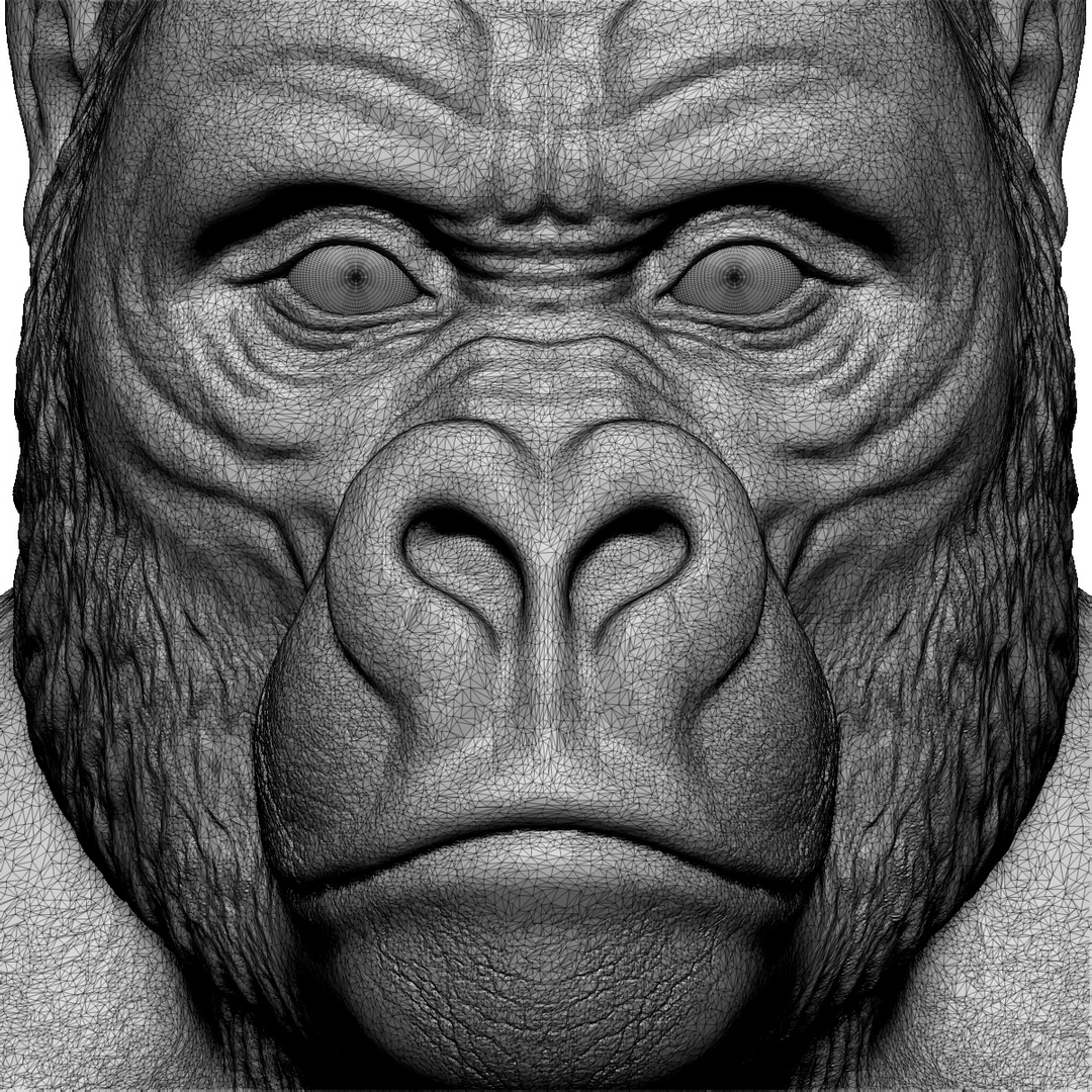 3d model gorilla head animal