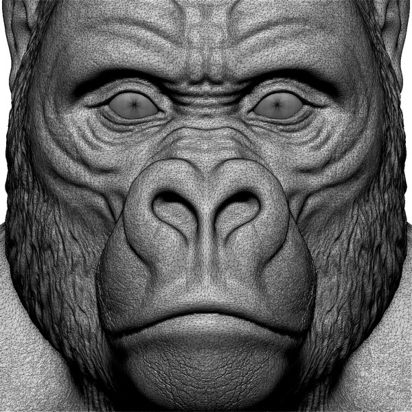 3d model gorilla head animal