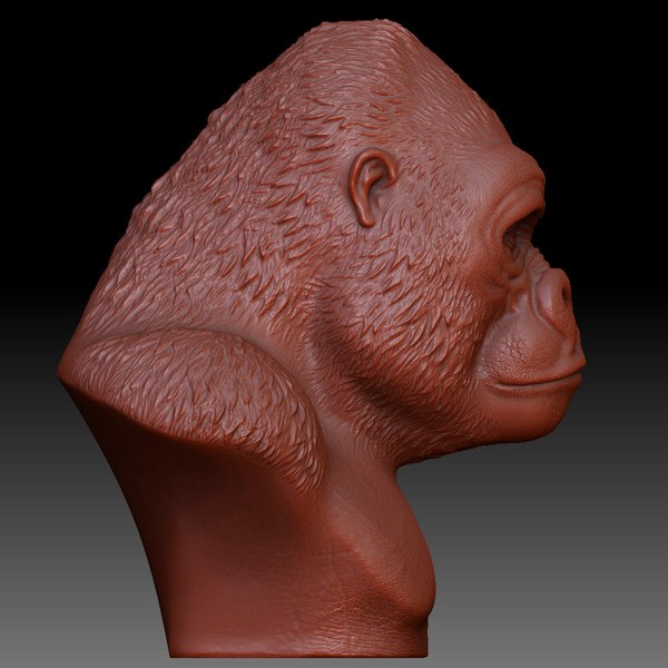 3d model gorilla head animal