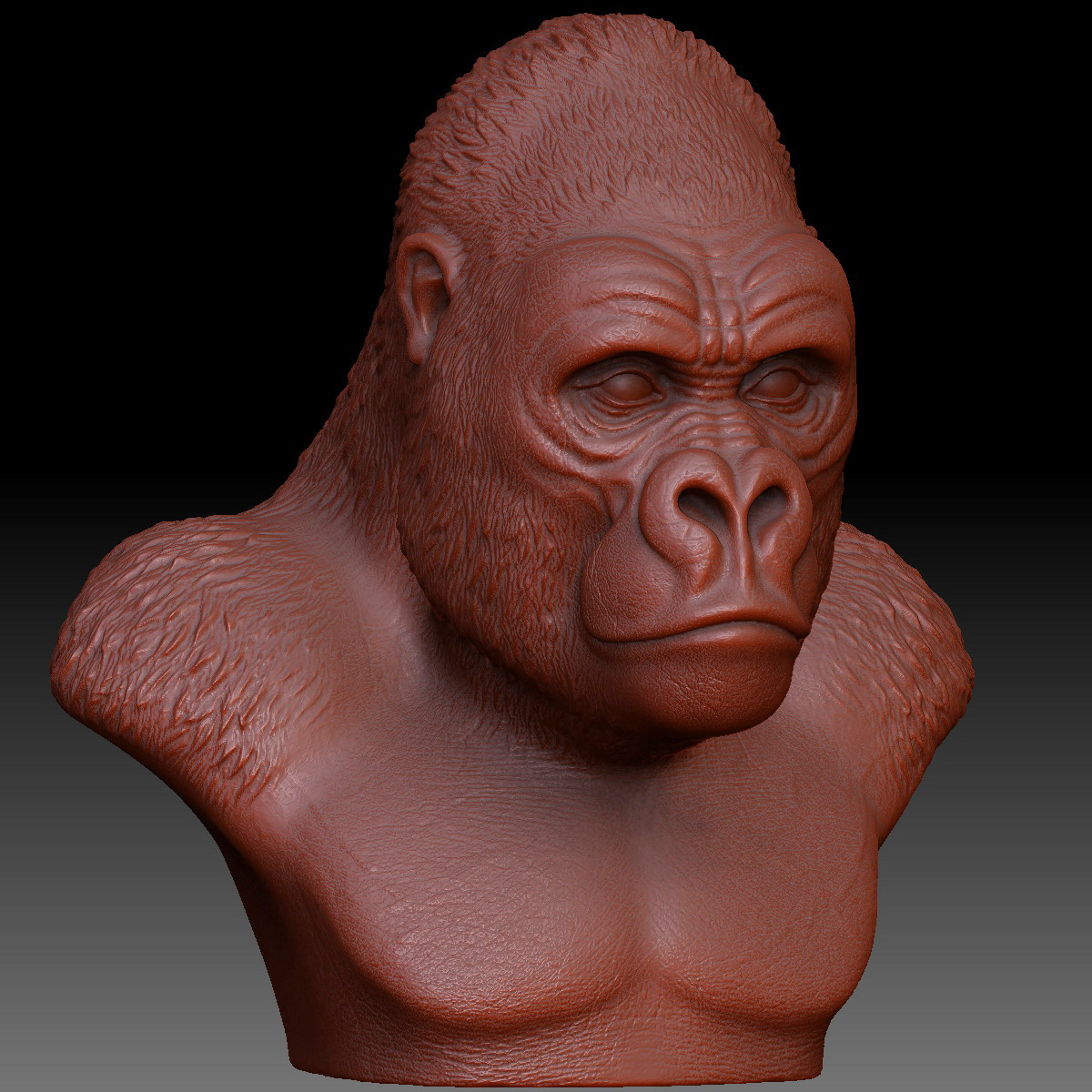 3d model gorilla head animal