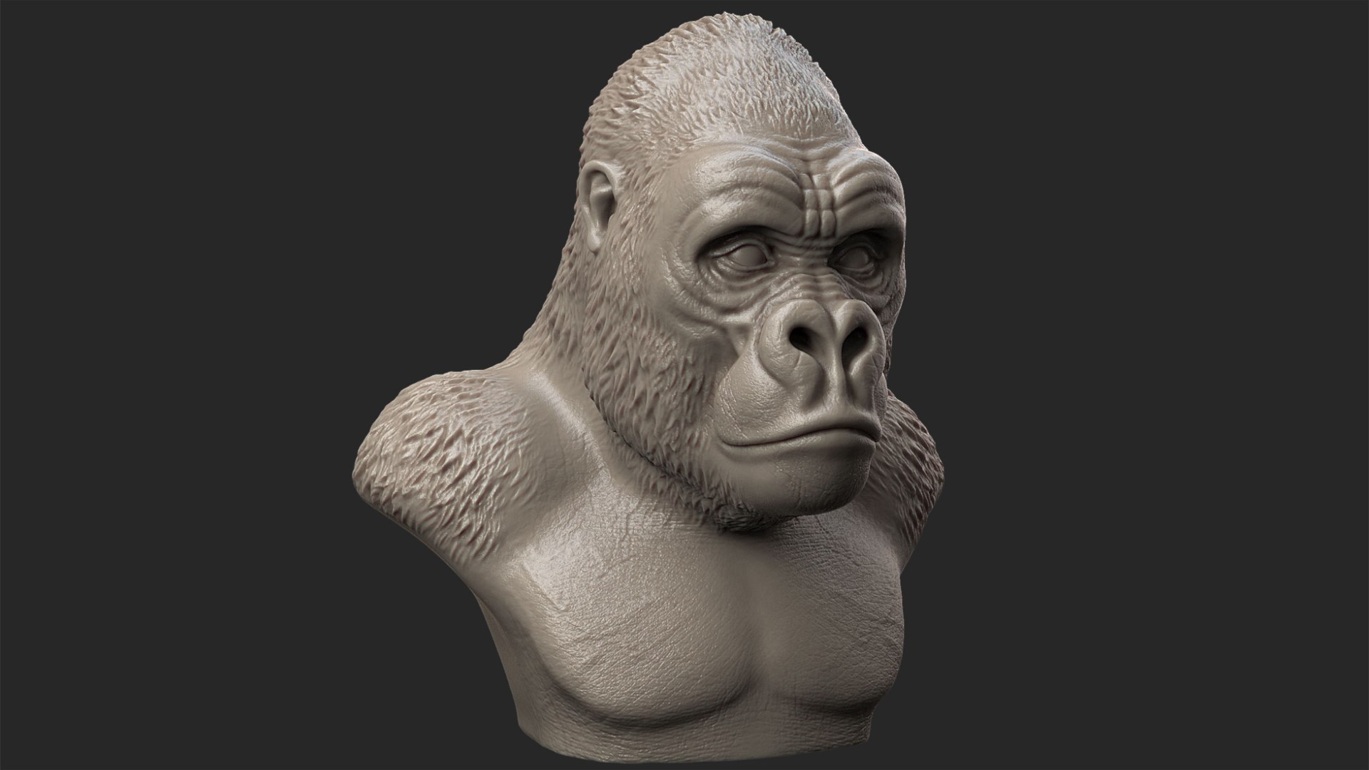 3d Model Gorilla Head Animal