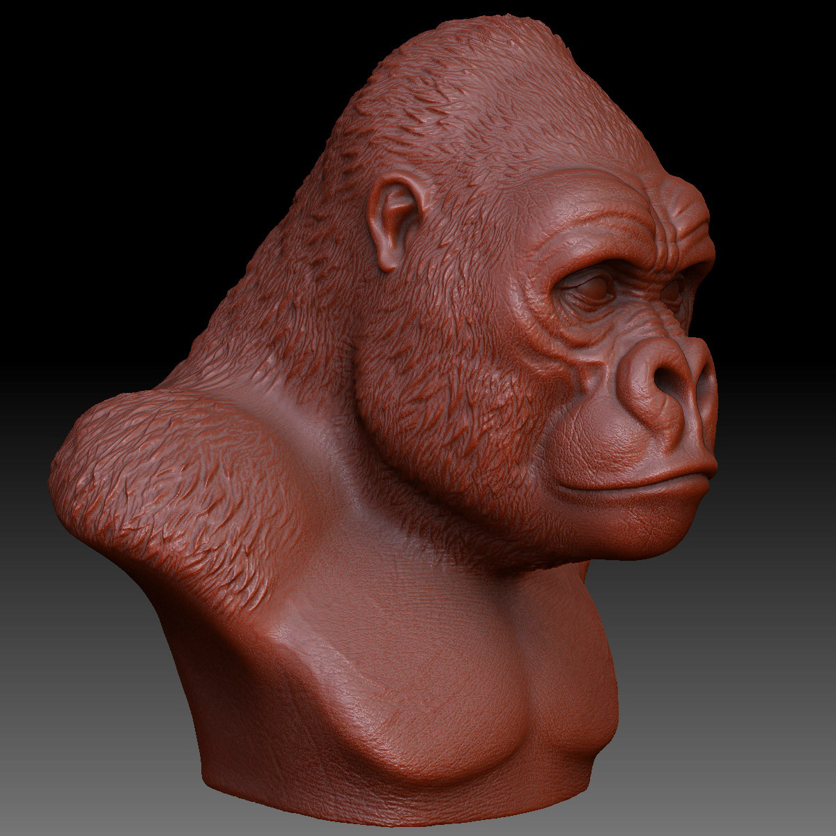 3d model gorilla head animal