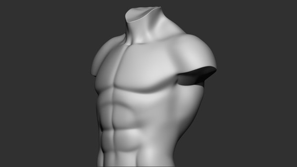 3D torso - TurboSquid 1720239
