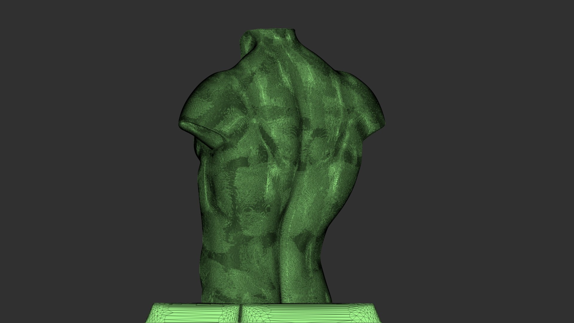 3D torso - TurboSquid 1720239