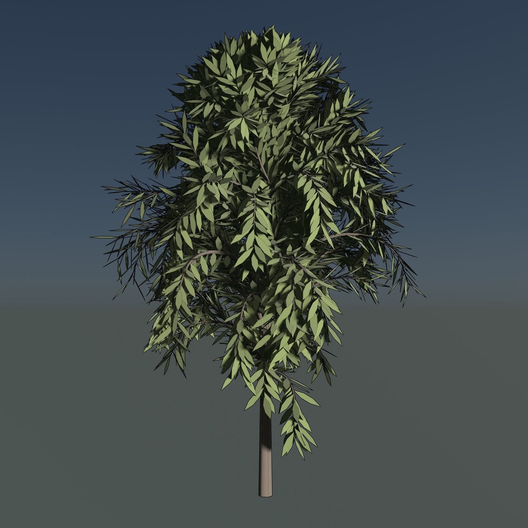 3D Simple Tree 24L06 - TurboSquid 2258049