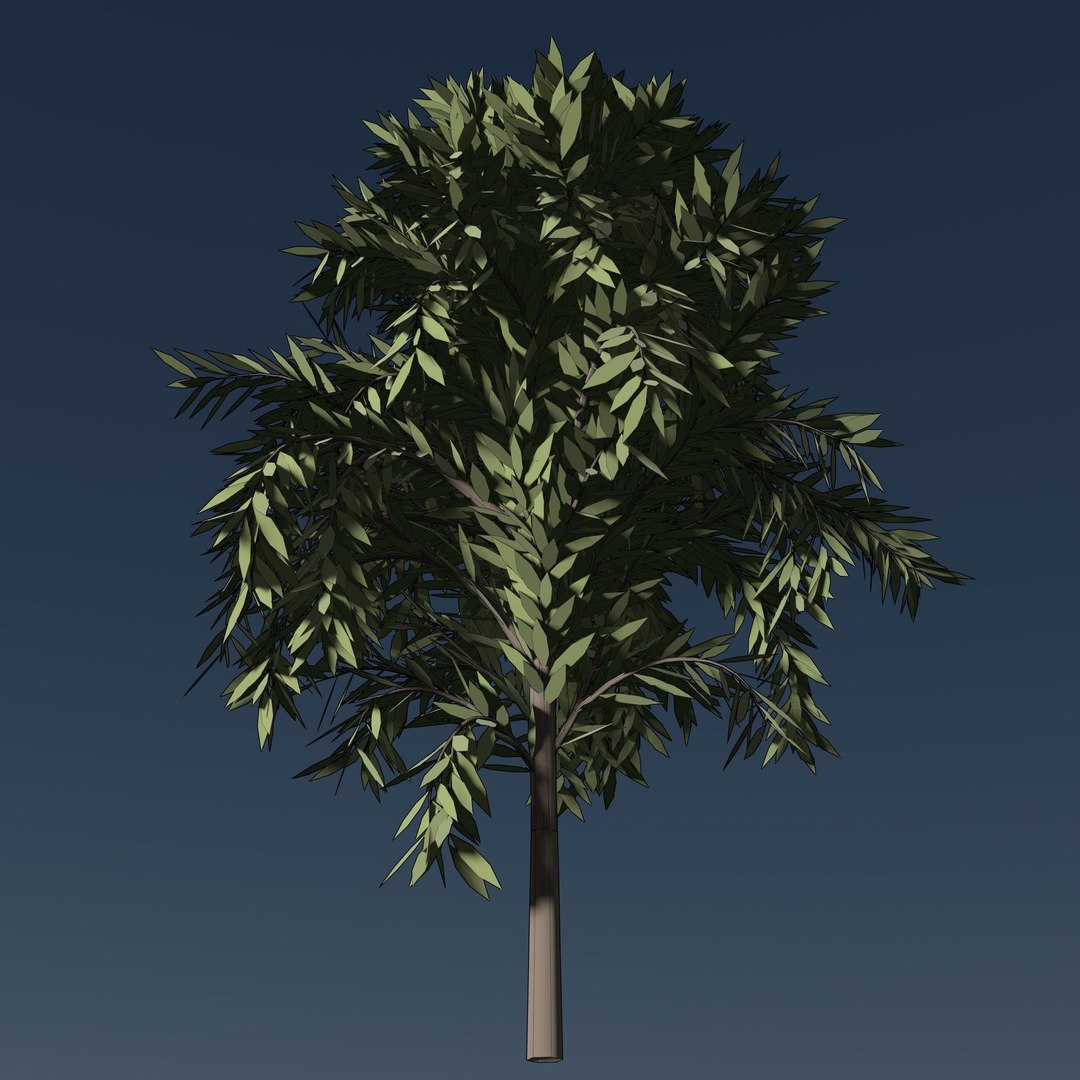 3D Simple Tree 24L06 - TurboSquid 2258049