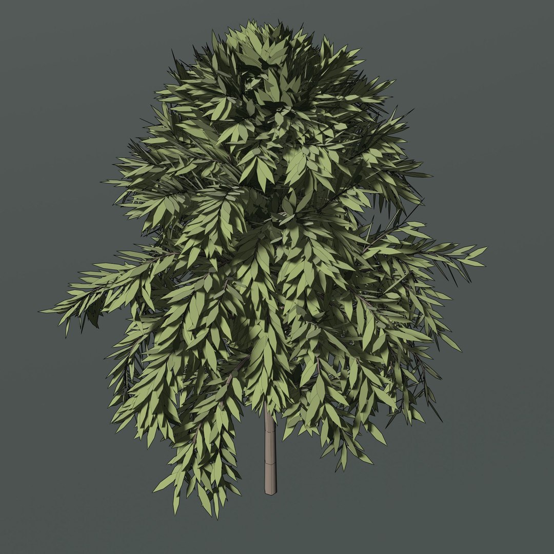 3D Simple Tree 24L06 - TurboSquid 2258049