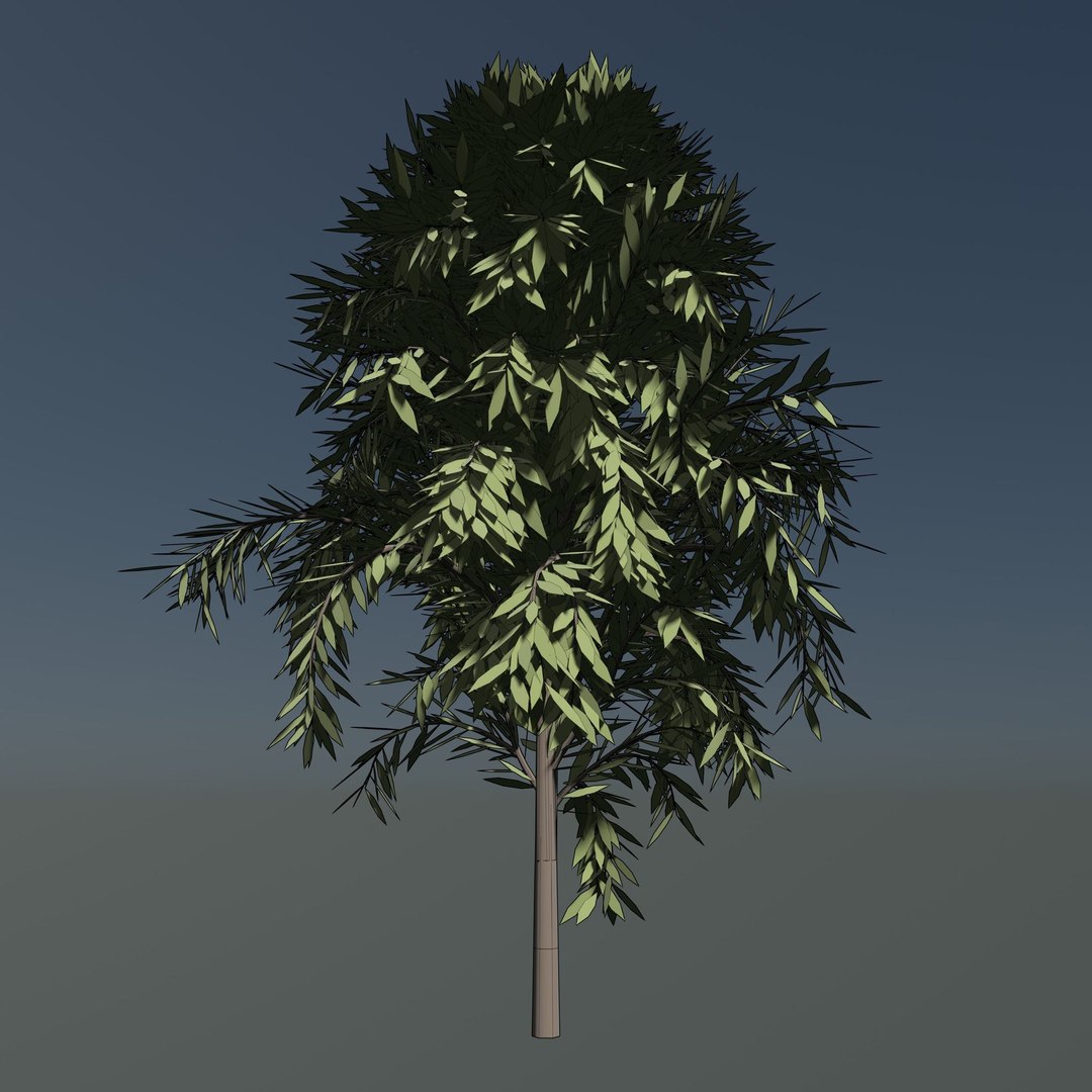 3D Simple Tree 24L06 - TurboSquid 2258049