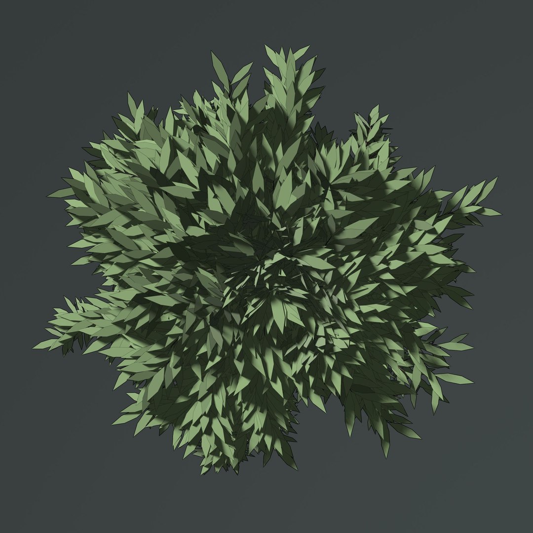 3D Simple Tree 24L06 - TurboSquid 2258049