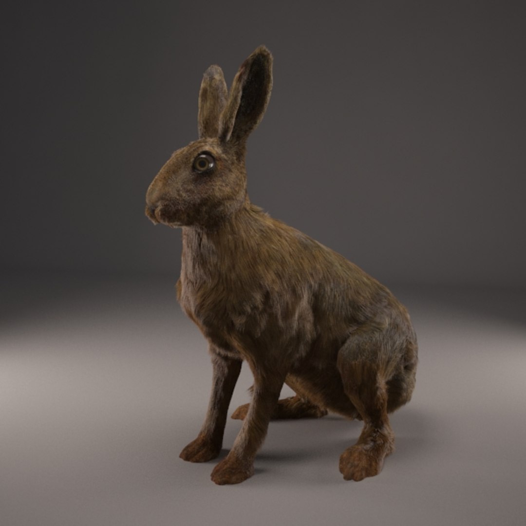 Realistic Hare X