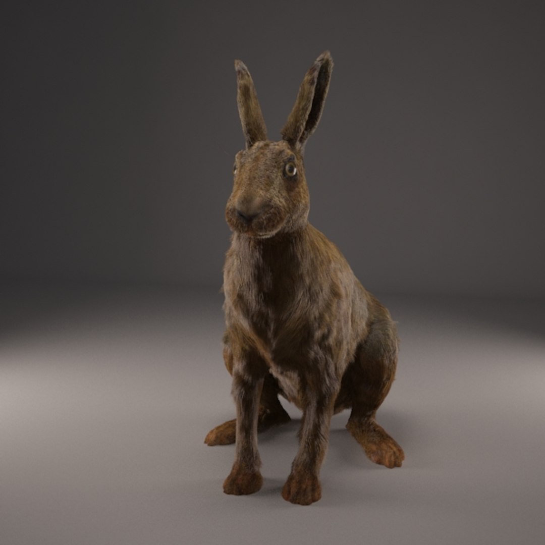 Realistic Hare X