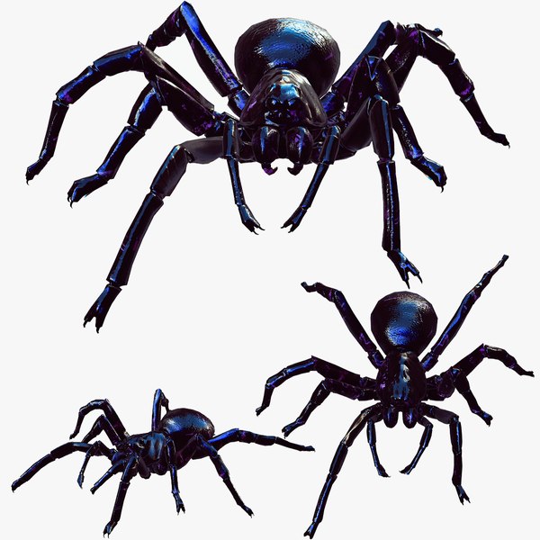 SPIDER ANIMATED Modelo 3D - TurboSquid 2115518