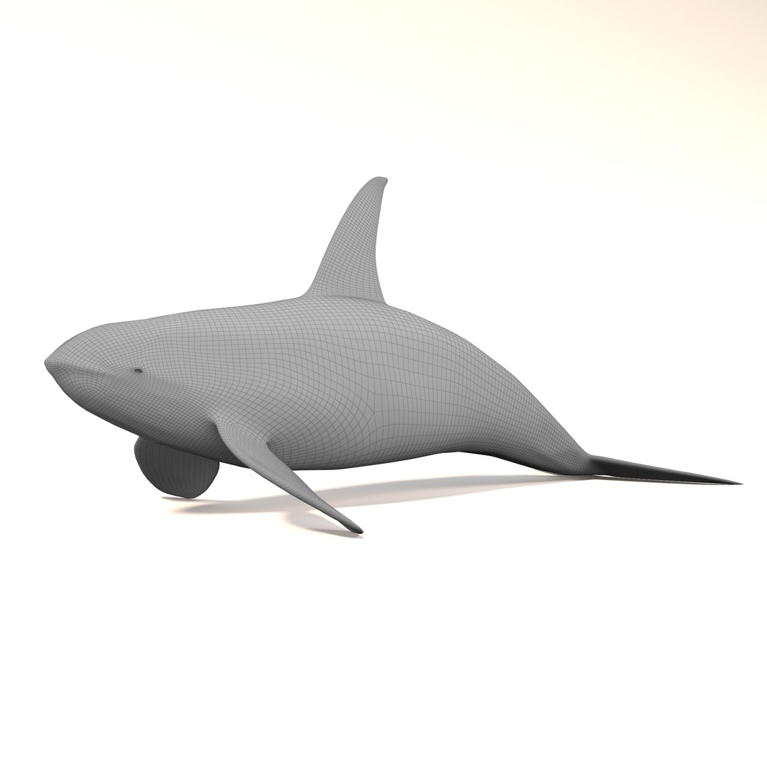 Ceramic Orca 3D Model - TurboSquid 1894549