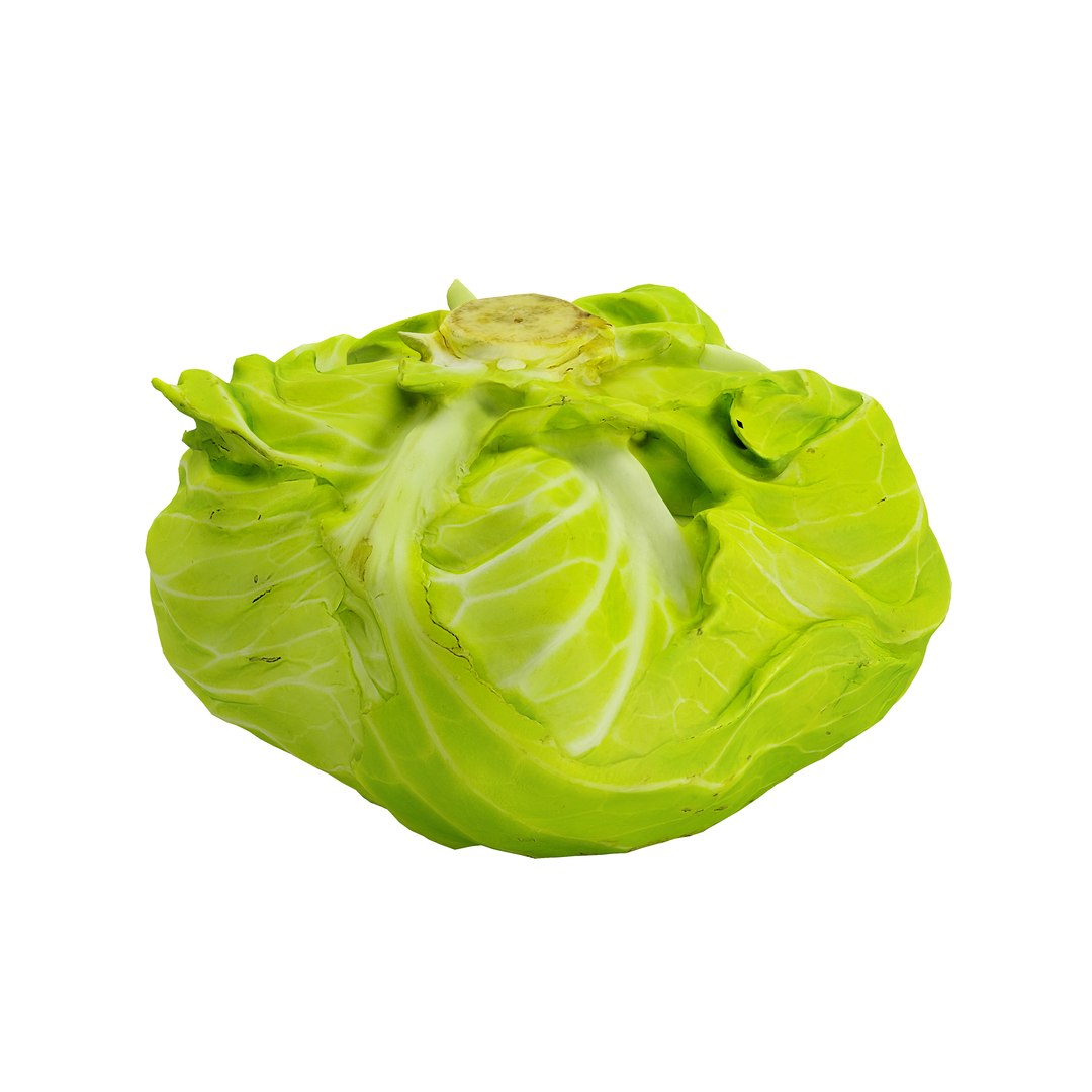 Cabbage 3D Model - TurboSquid 2056489