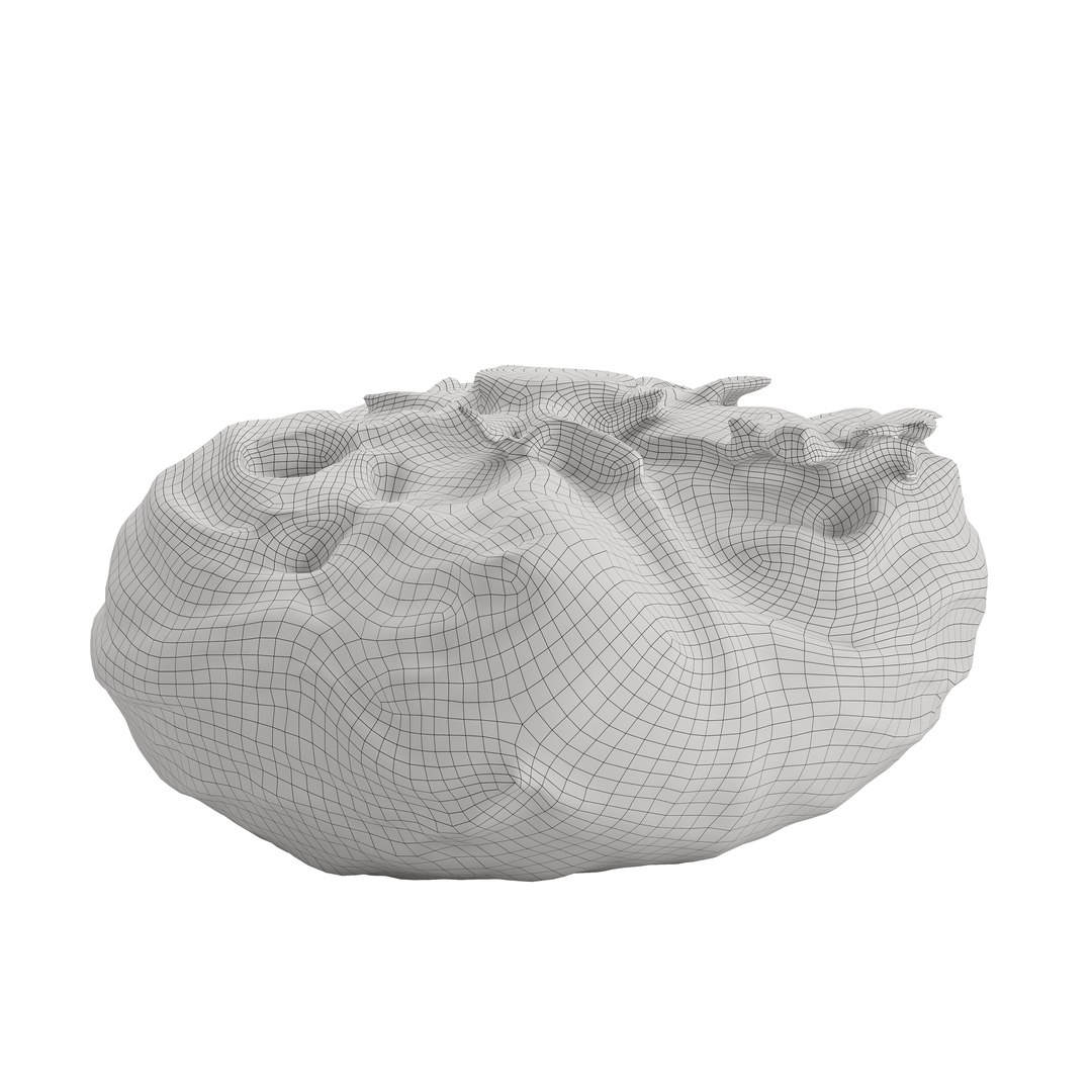 Cabbage 3D Model - TurboSquid 2056489