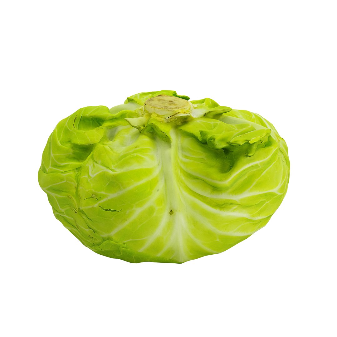 Cabbage 3D Model - TurboSquid 2056489