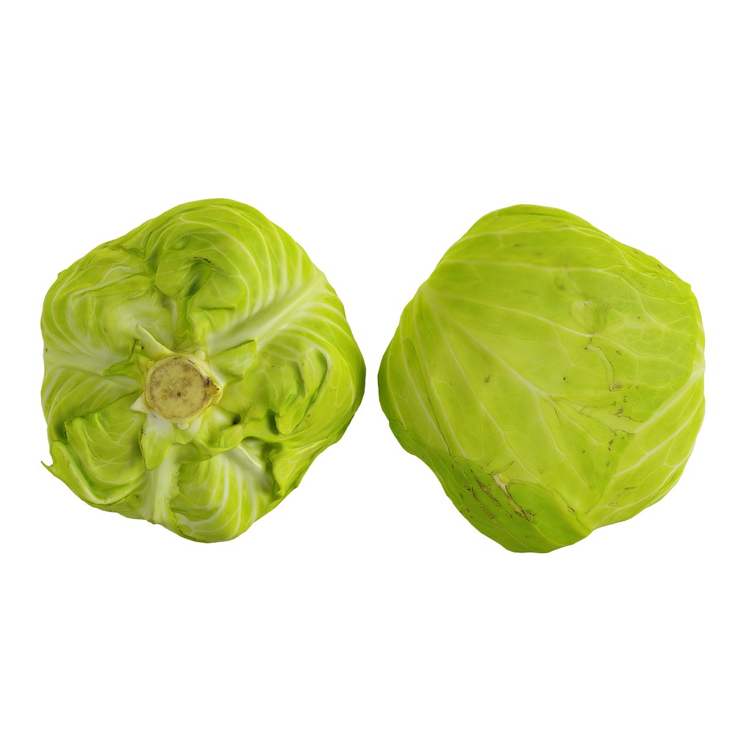 Cabbage 3D Model - TurboSquid 2056489