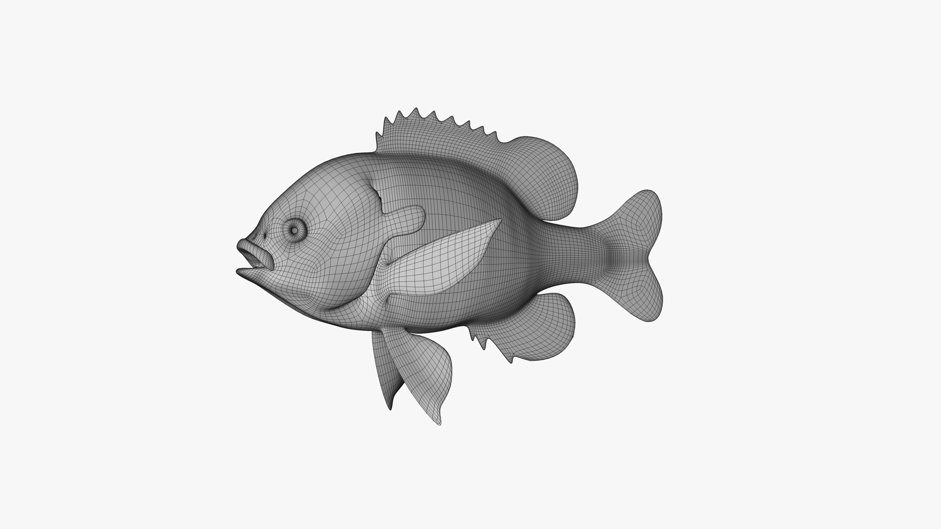Realistic Longear Sunfish 3D Model - TurboSquid 1576445