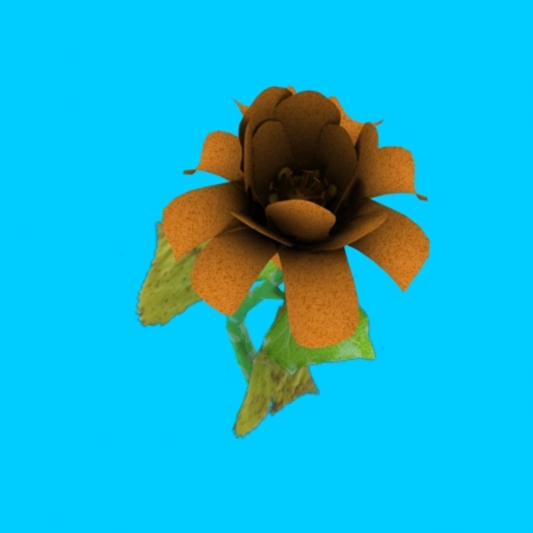 Flower Blooming Animation 3d Model