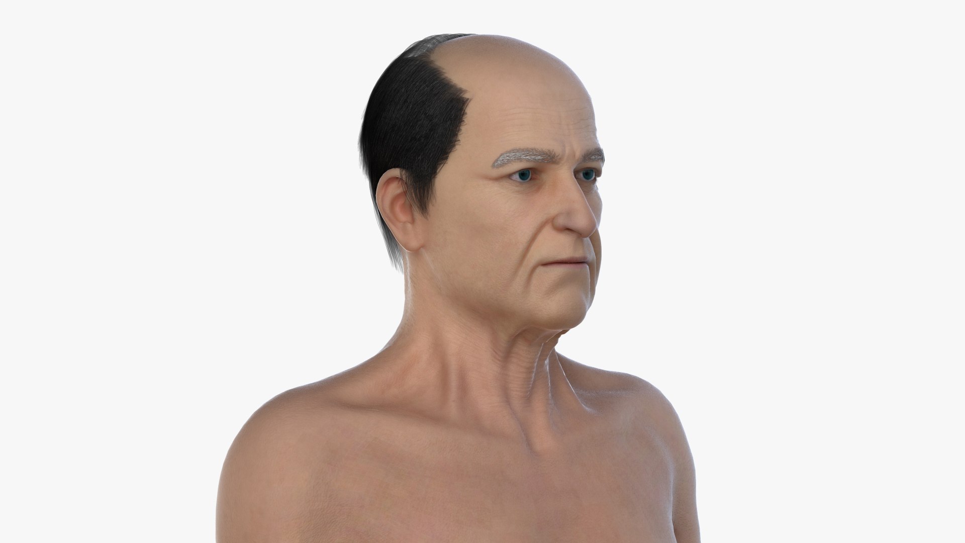 Skin Elder Male Skeleton 3D Model - TurboSquid 1436038