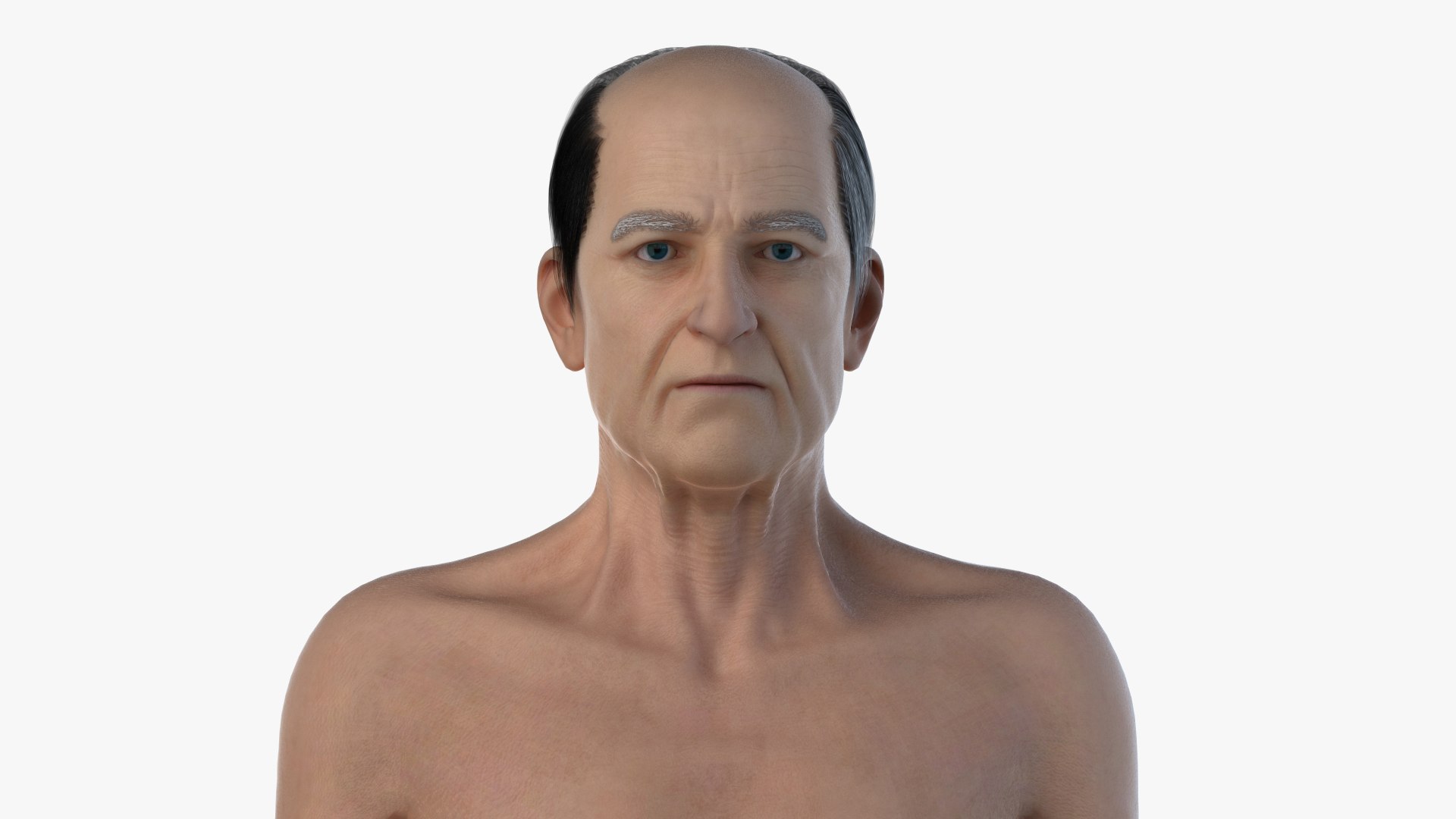 Skin Elder Male Skeleton 3D Model - TurboSquid 1436038