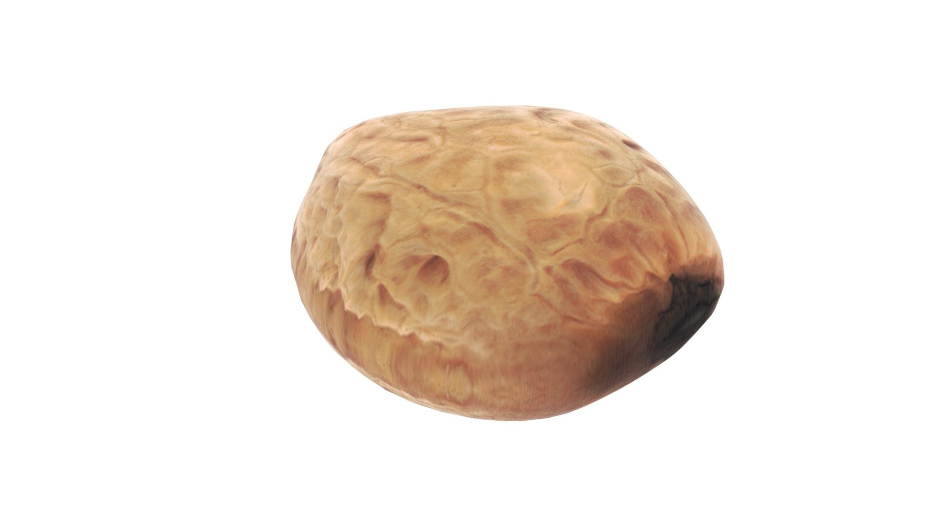 Walnut Shell 3D Model - TurboSquid 1850445