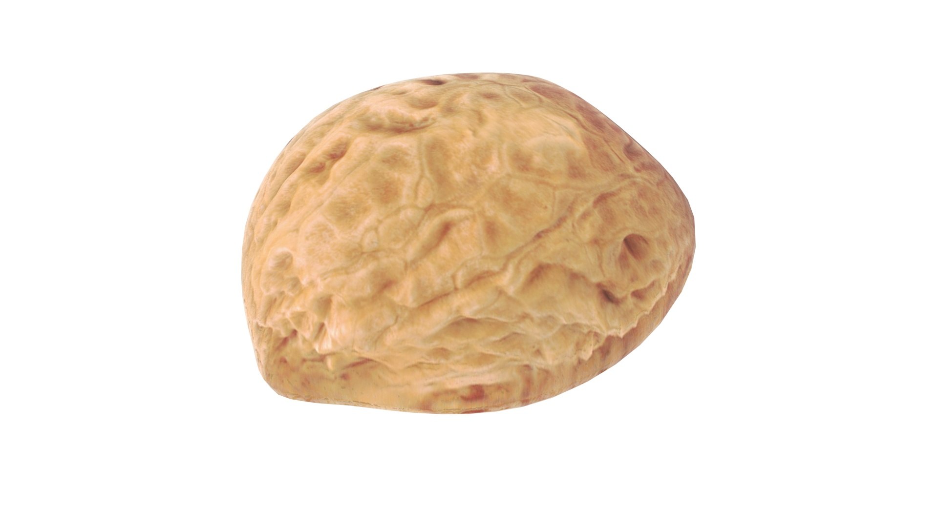 Walnut Shell 3D Model - TurboSquid 1850445