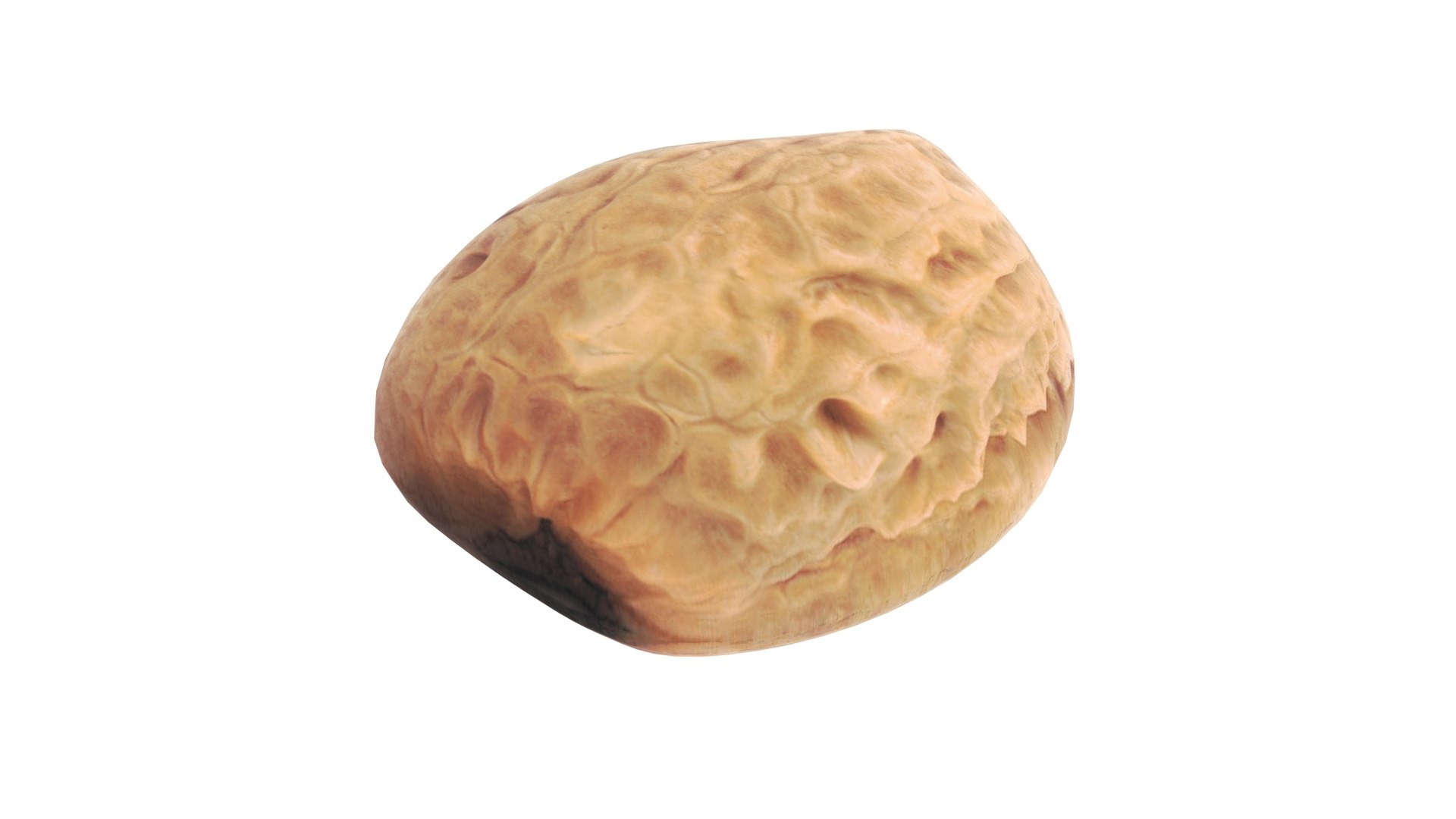 Walnut Shell 3D Model - TurboSquid 1850445