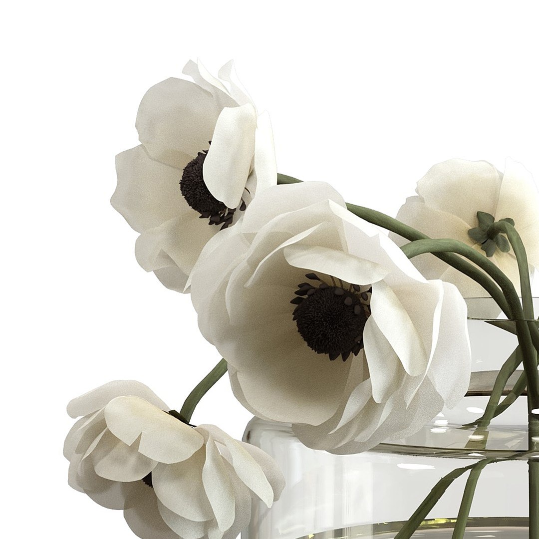 Bouquet Of Anemones 3D Model - TurboSquid 2317882
