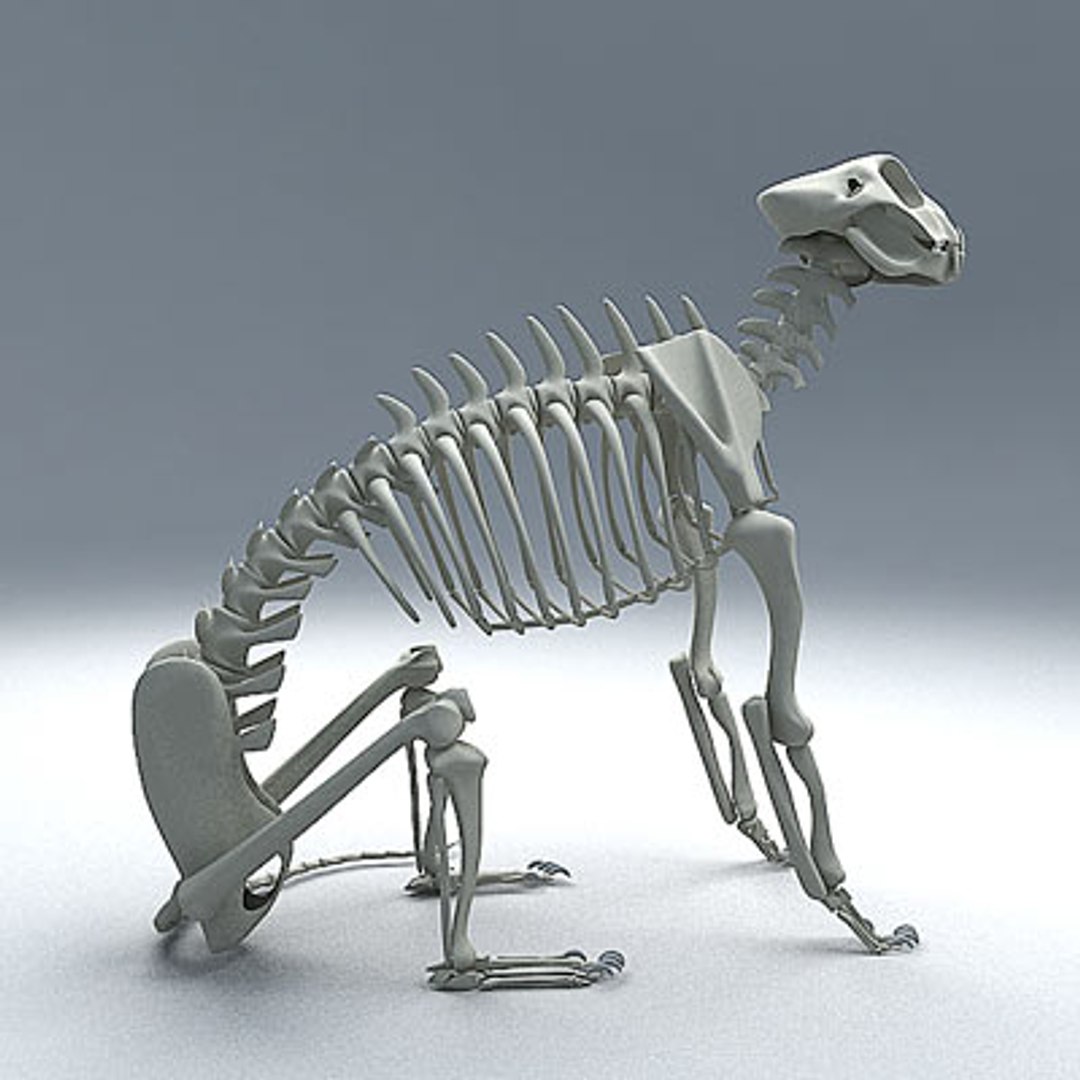 skeleton jaguars obj