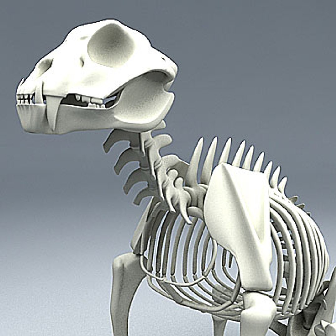 skeleton jaguars obj