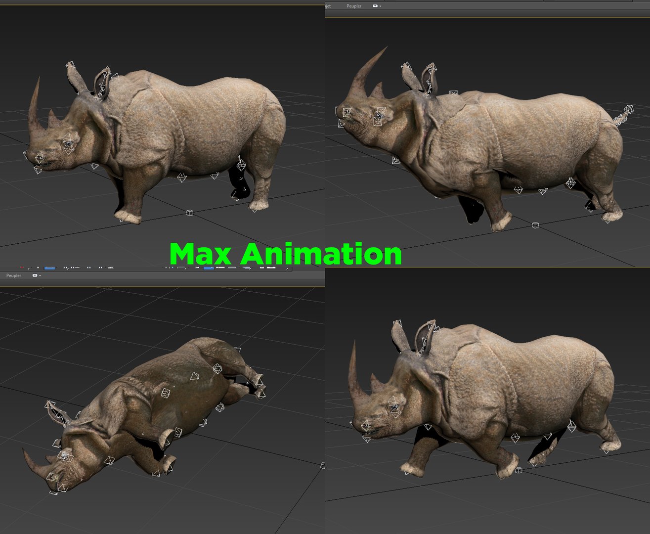 3D Realistic Rhino Rigged Animation - TurboSquid 1271268