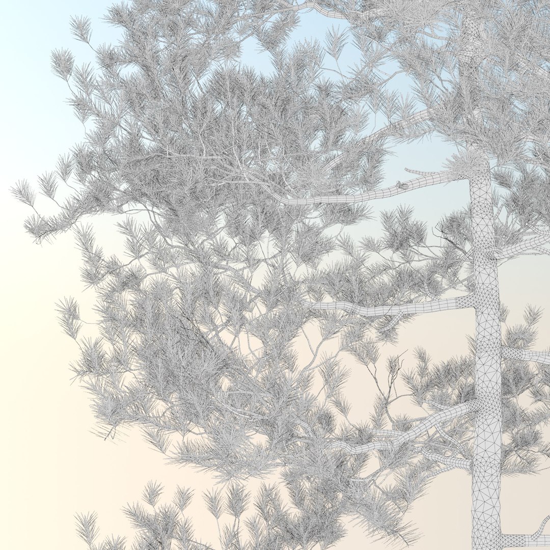 realistic pine tree max