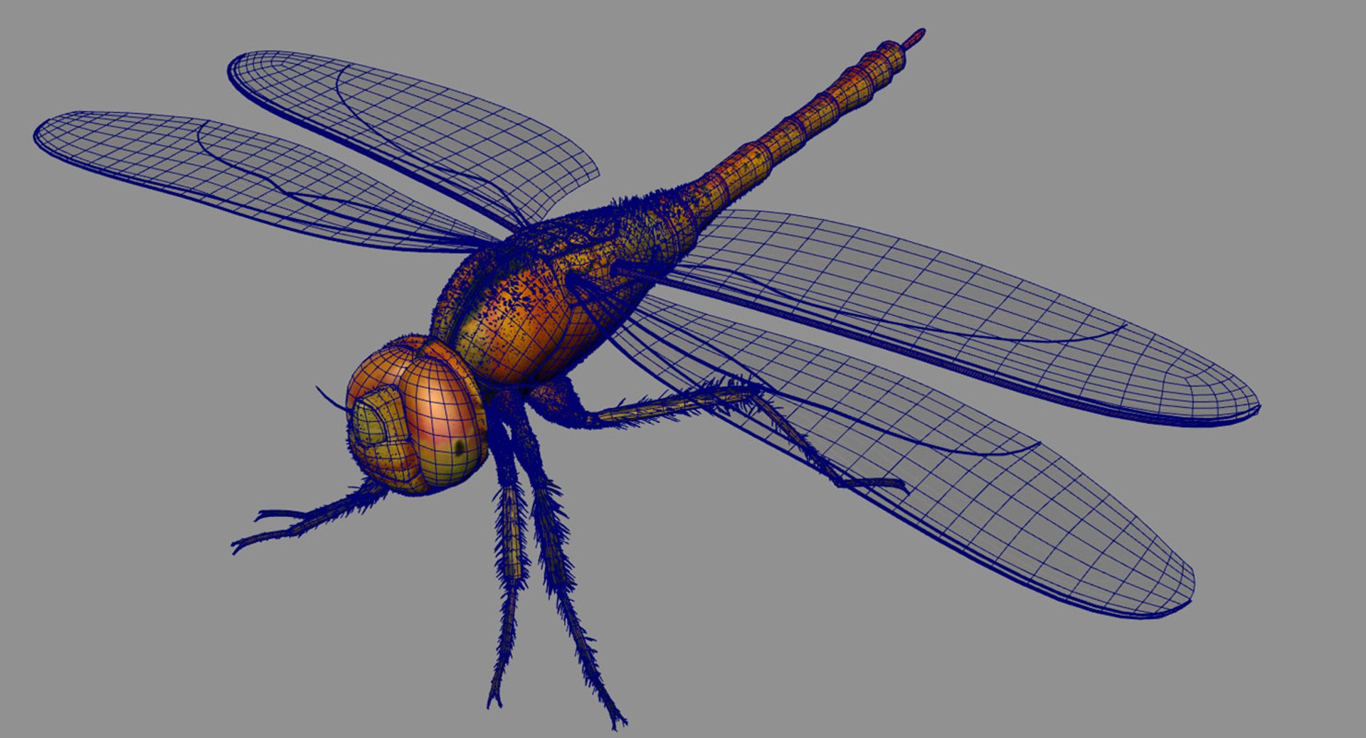 Dragonfly Arnold Obj