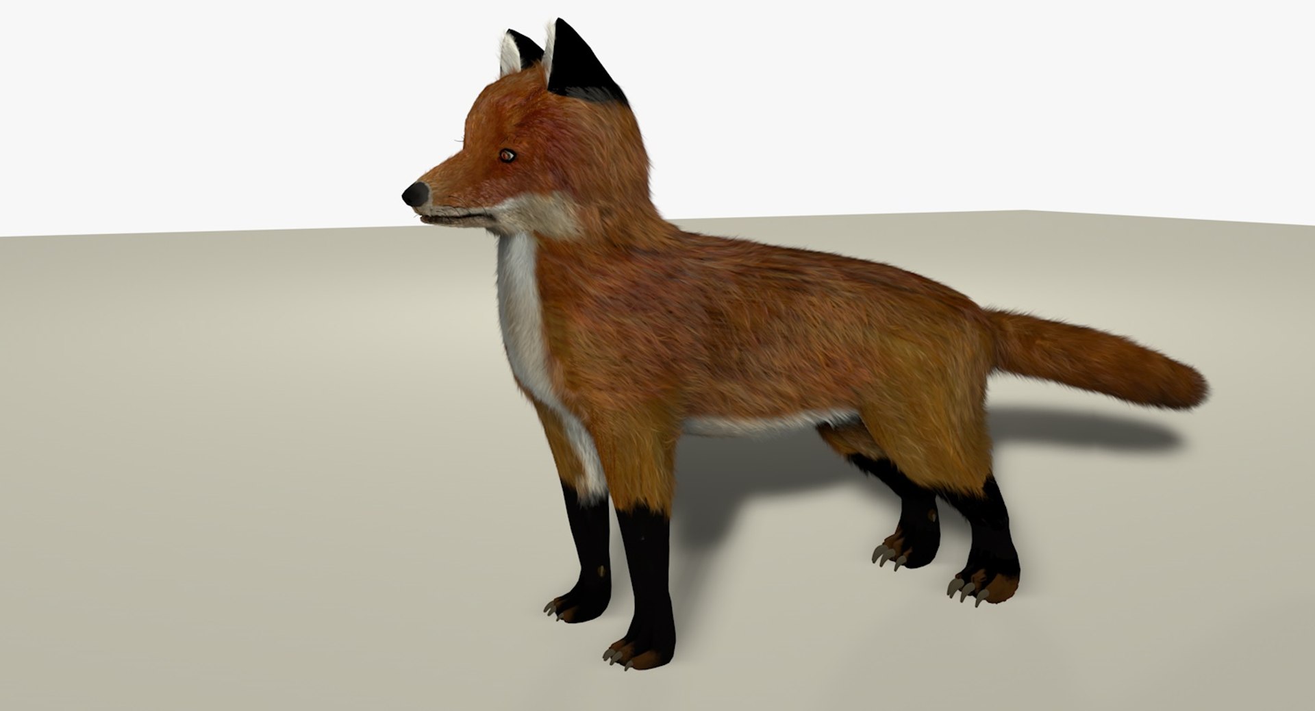 3d Red Fox