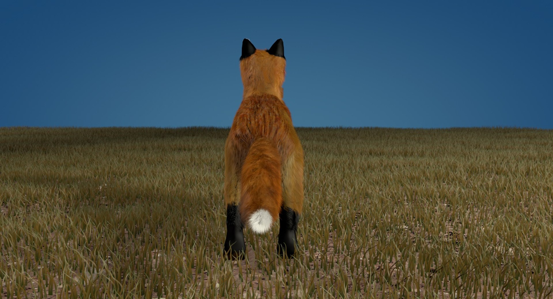 3d Red Fox