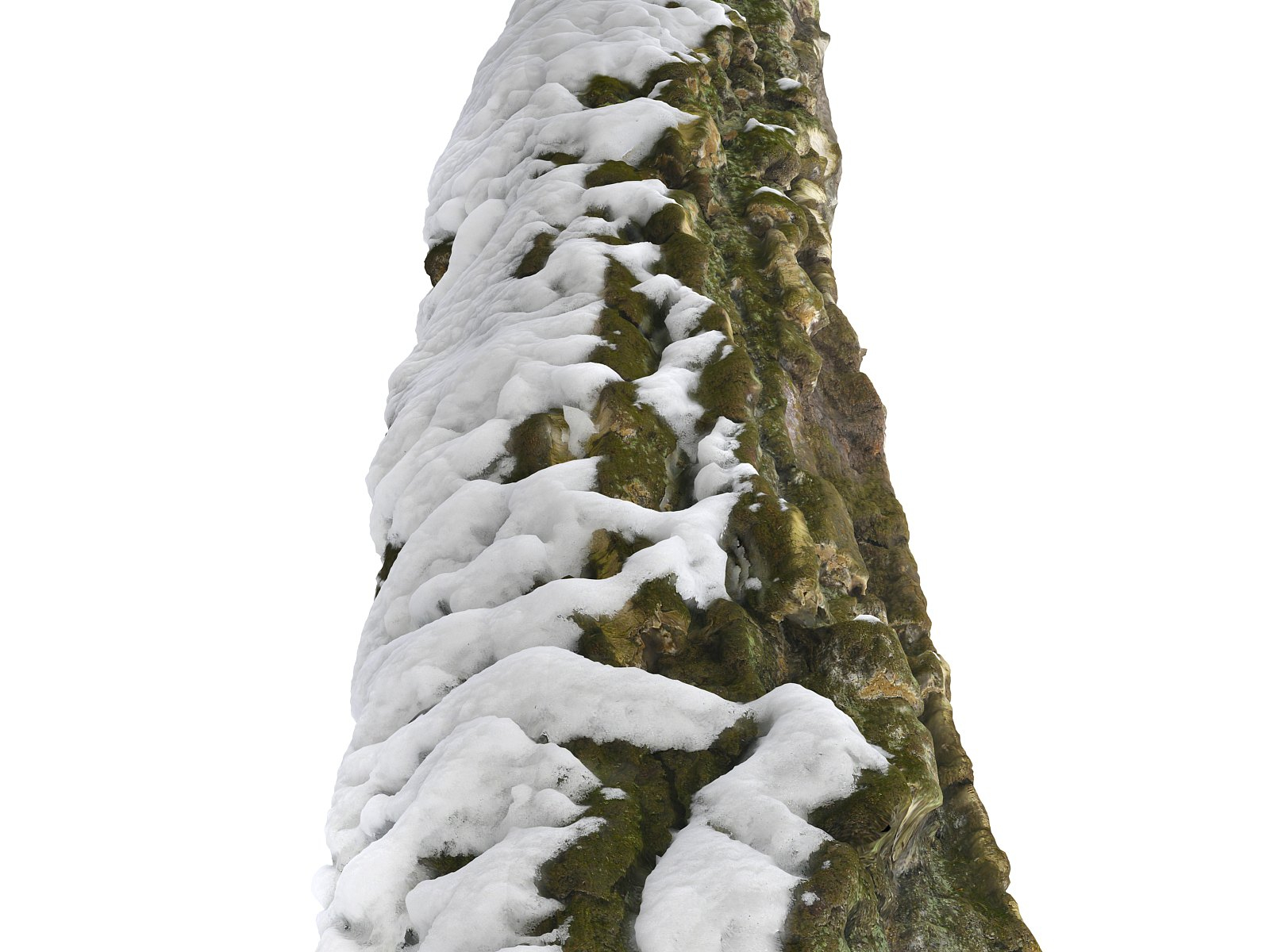 3D bark snow tree 8k - TurboSquid 1262902